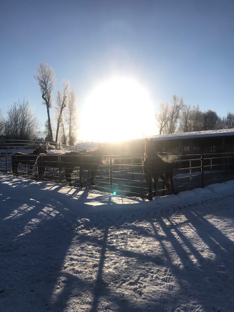 IMG_3378 – Diamond E Ranch