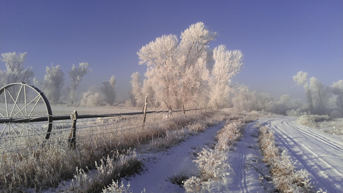 Boarding – Diamond E Ranch