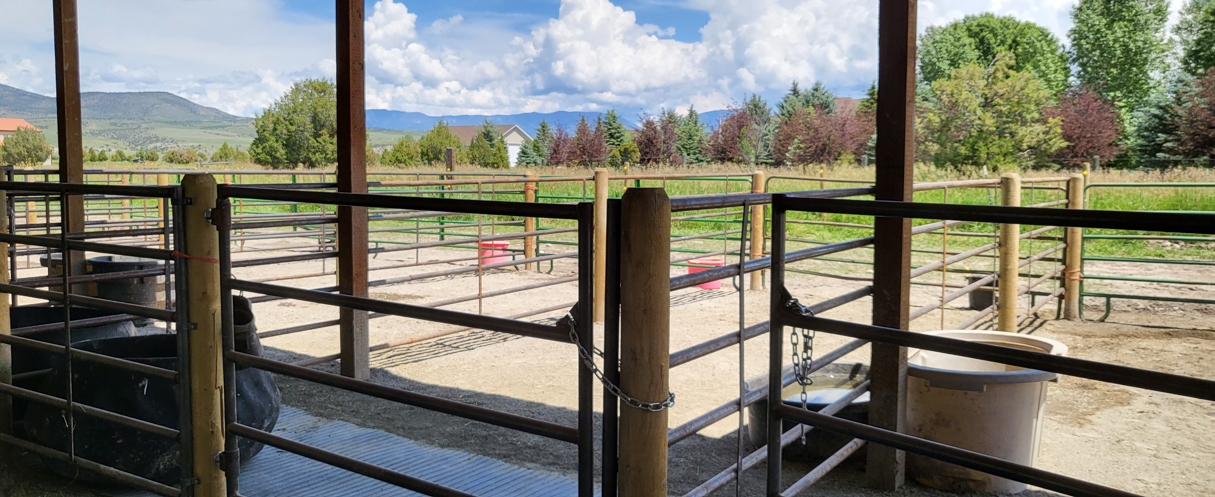 Boarding – Diamond E Ranch